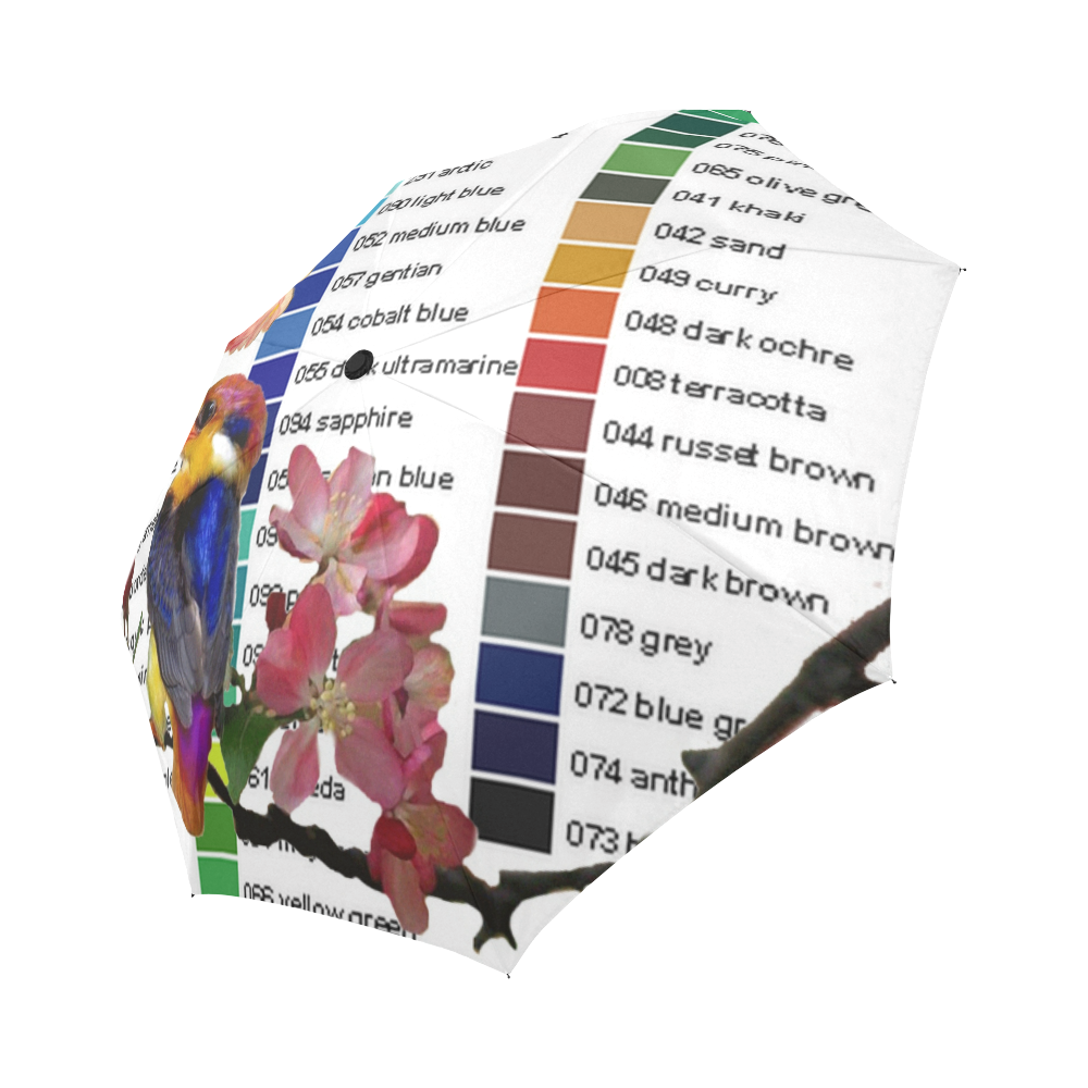 Kingfisher Colour Chart Auto-Foldable Umbrella (Model U04) | ID: D2414922